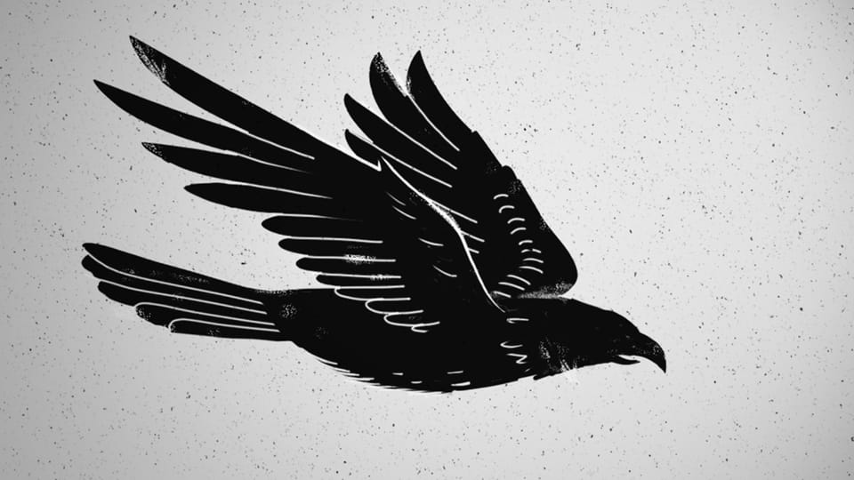 Sokrates und Xanthippe - Die Vögel - Audio & Podcasts - SRF