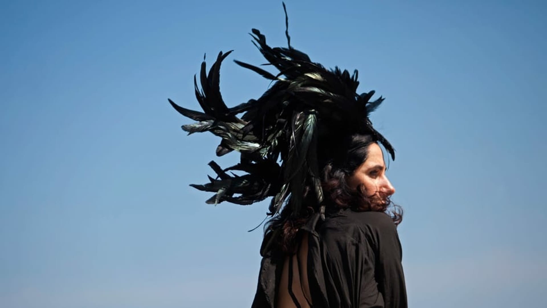 Ausstellung in Winterthur - Die fantastische Welt der Federn - Kultur - SRF