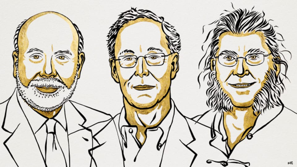 Wirtschafts-Nobelpreis für Forschung zu Finanzkrisen - Audio & Podcasts - SRF