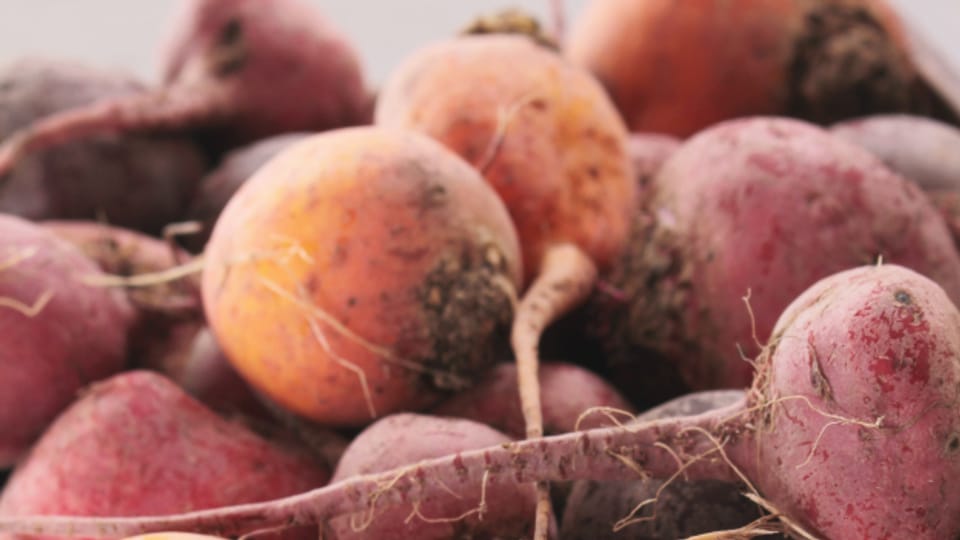 Überraschend farbig: Die Rande - Audio & Podcasts - SRF