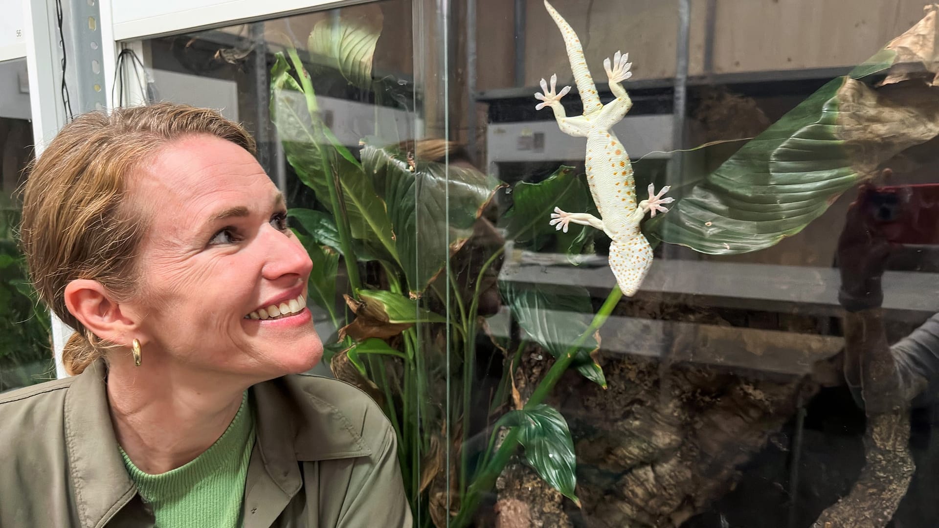 Einstein - Invasive Quagga-Muscheln: Kollabierende Seen und Millionenschäden - Play SRF