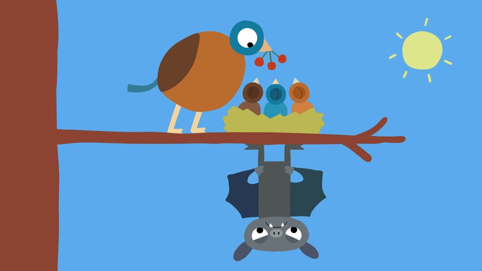 D Flädermuus - Animanimals - Play SRF