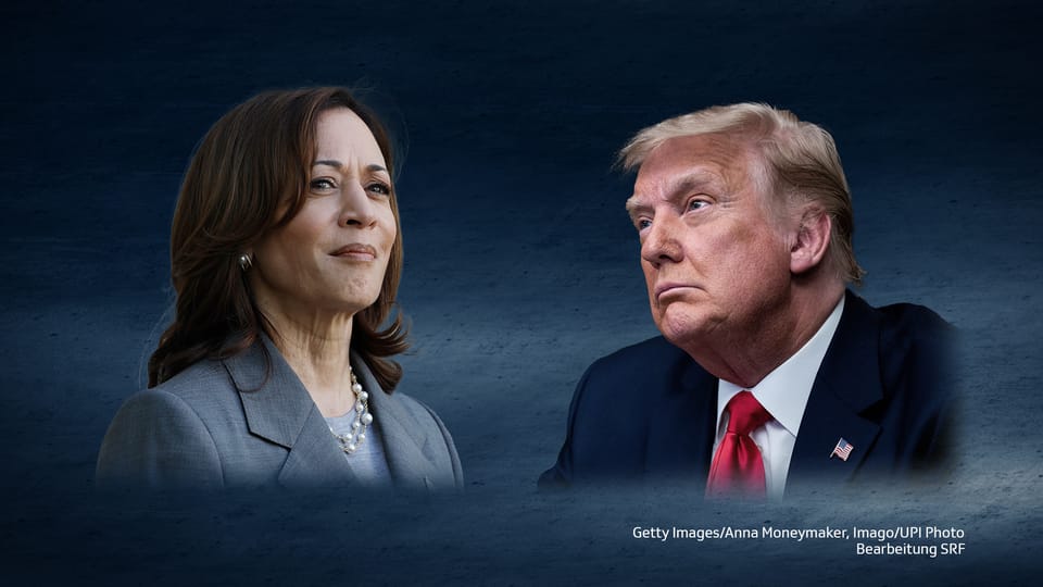 Trump vs. Harris – die aktuellen Umfragewerte der US-Wahlen 2024 - News ...