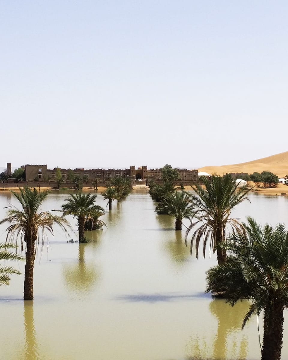 Überschwemmungen in der Sahara aufgrund starker Niederschläge - News - SRF
