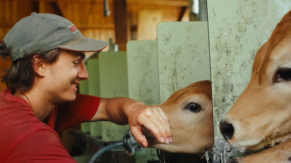 Landwirt EFZ - Berufsbilder aus der Schweiz - Play SRF