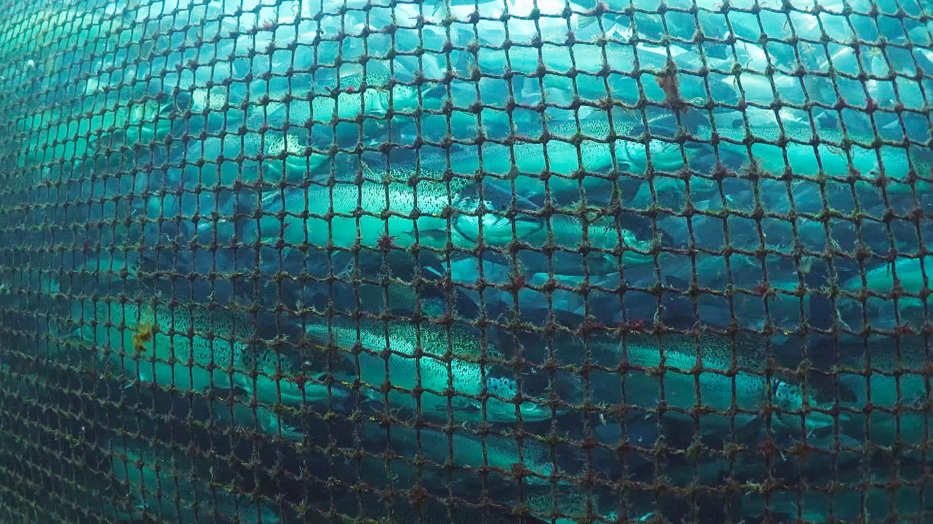 Kassensturz - Die Sendung über Konsum, Geld und Arbeit - Play SRF