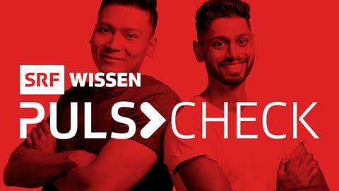 Easy learning – Wie du spielend Neues lernst - Puls Check - Play SRF