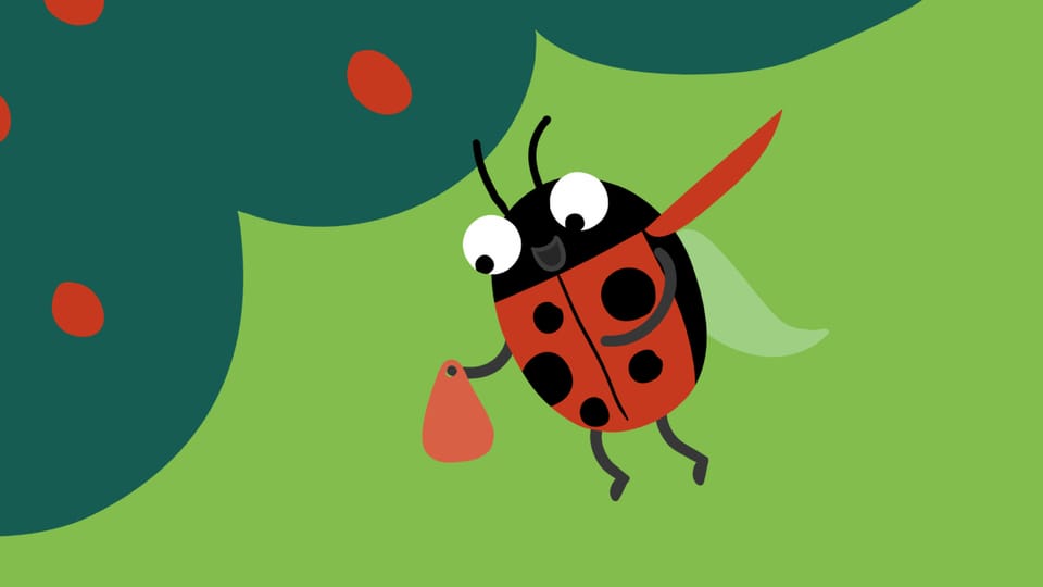 S Mariächäferli - Animanimals - Play SRF