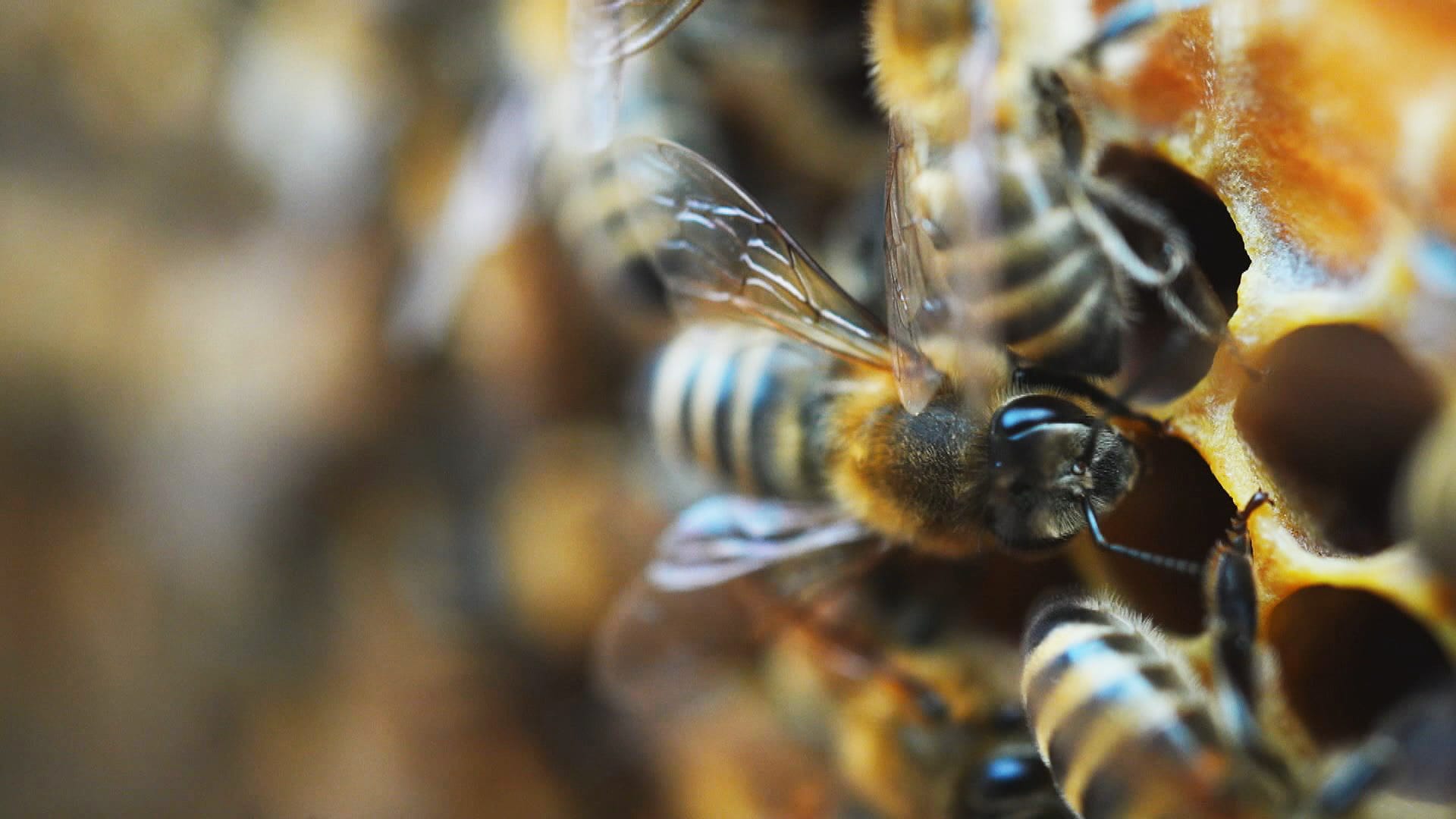 Kassensturz - Die Sendung über Konsum, Geld und Arbeit - Play SRF