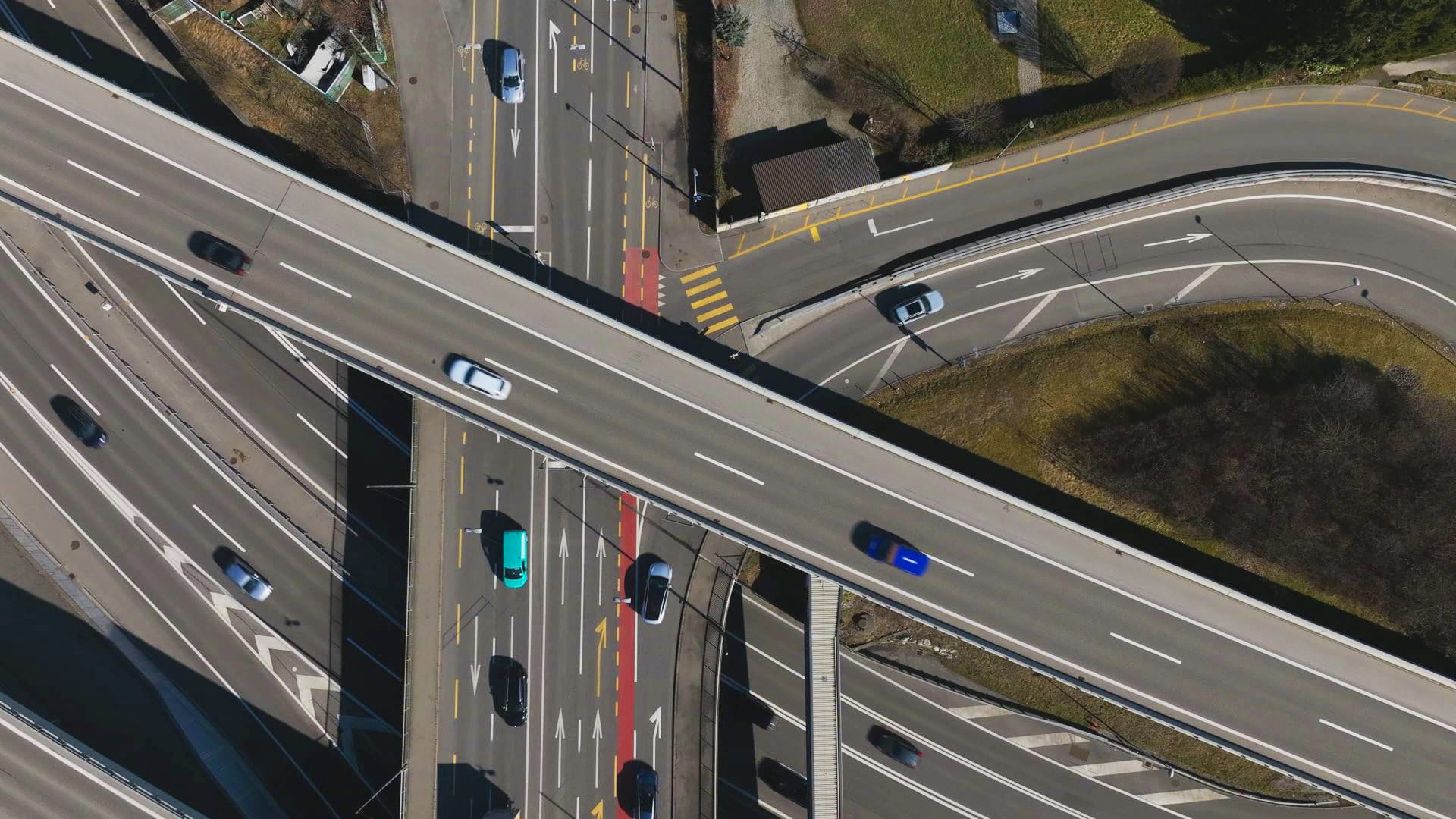 Die verrückte Welt der Hörnchen - SRF school - Play SRF