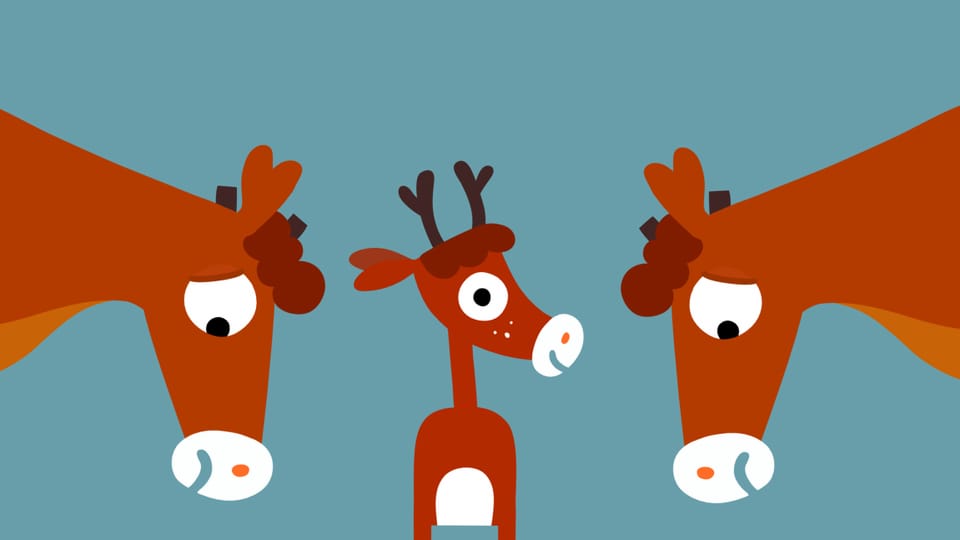 De Hirsch - Animanimals - Play SRF