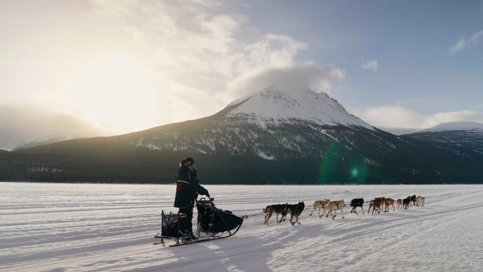 Musher – Mit meinen Schlittenhunden durch Alaska - Dokumentationen aus ...