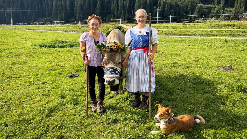 Start der sechsten Staffel (Staffel 6, Folge 1) - SRF bi de Lüt – Z'Alp ...