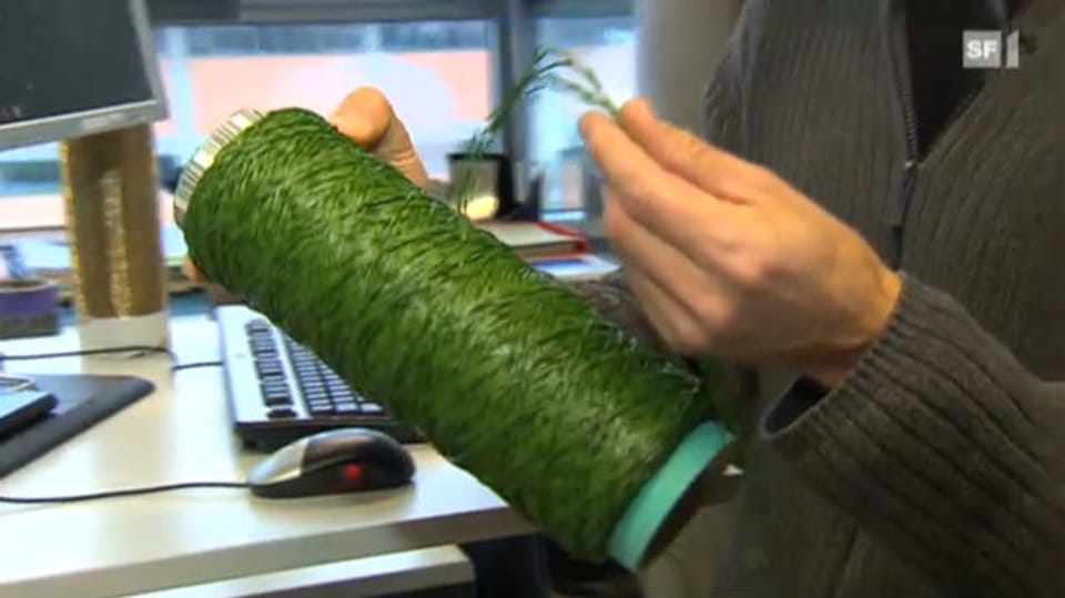 Der perfekte Kunstrasen - Einstein - Play SRF