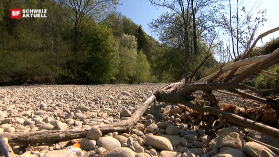 Trockenheit in der Schweiz - Schweiz aktuell - Play SRF