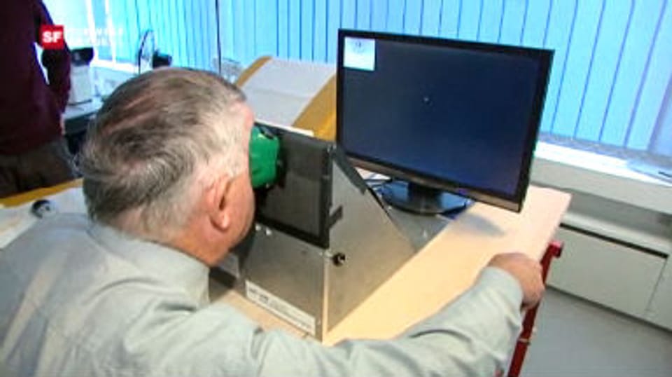 Spannende Fahrtauglichkeit Senioren Test Online Fotos