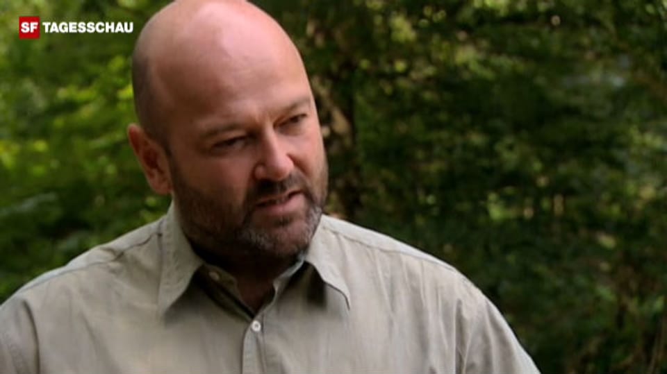 Interview mit Andreas Rigling, Waldforscher an der WSL - News-Clip ...