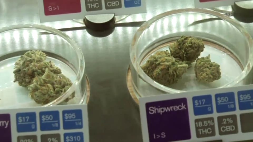 Cannabis als Medizin - Einstein - Play SRF