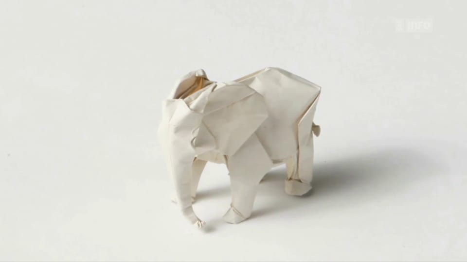 Der Origami-Code - Einstein - Play SRF