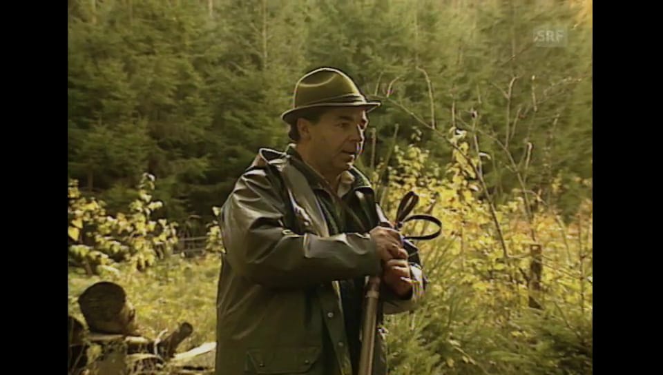 Treibjagd - Schweiz aktuell - Play SRF