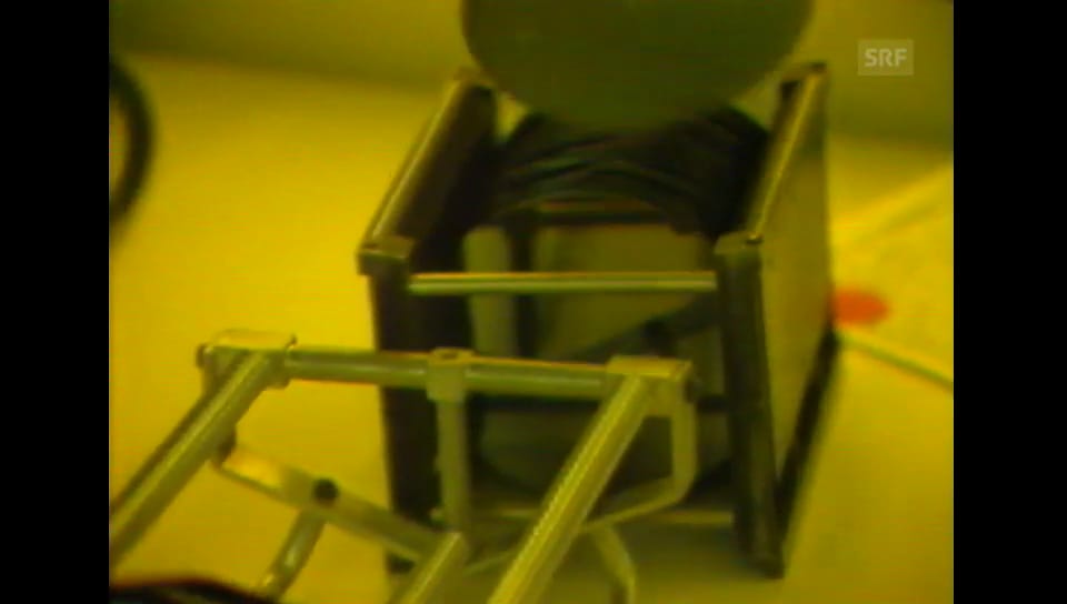 Bundesgerichtsentscheid (BGE) zu Ausnahme-Bewil... - Tagesschau - Play SRF