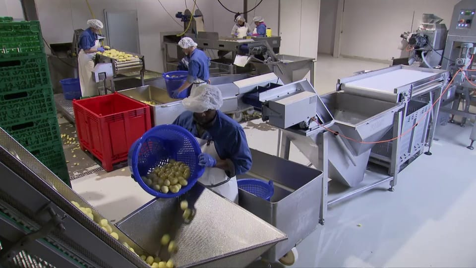 Wird’s bald eng für Pommes und Chips? - Kassensturz - Play SRF