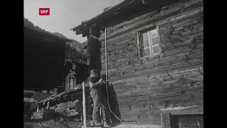 Radiokameraden - Antenne - Play SRF