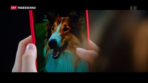 Wieder mal im Kino - Lassie: Von der Streberin zur Abenteurerin ...