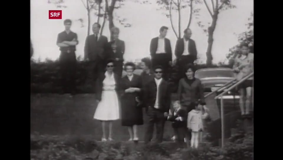 Wal im Rhein - Tagesschau vor 25 Jahren - Play SRF