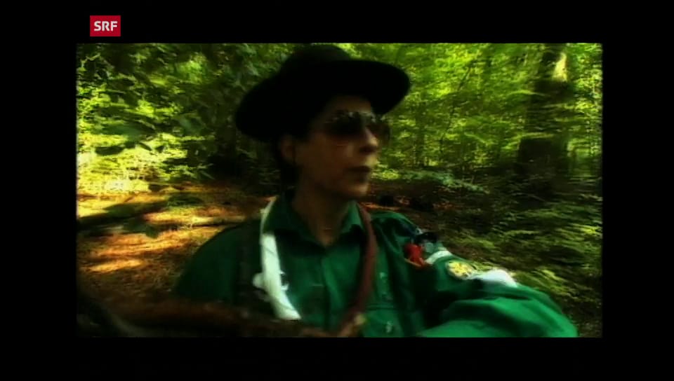 Scharmör - Oops! - Play SRF