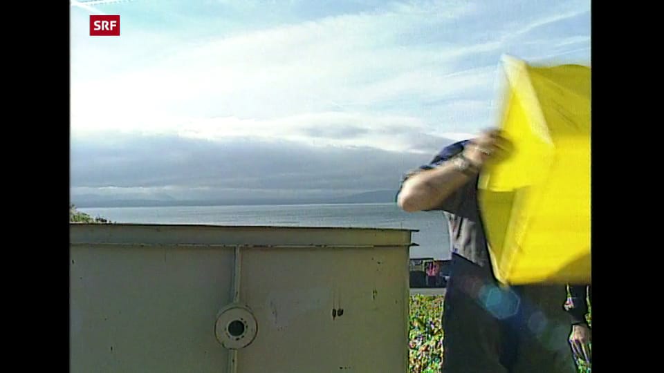 Traubenernte - Oops! - Play SRF