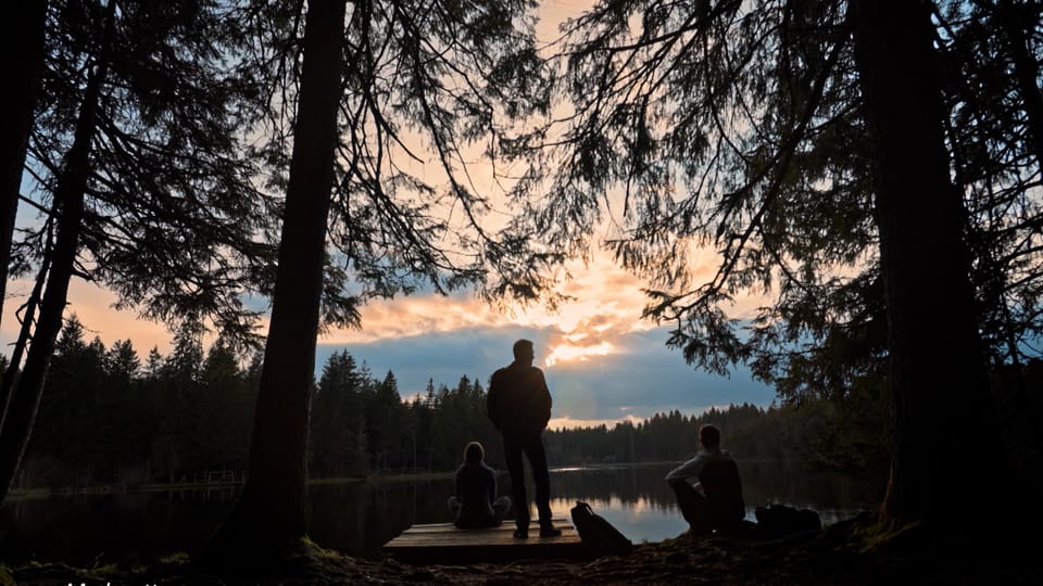 Rendez-vous im Park – Parc du Doubs (Staffel 2022, Folge 3) - DOK ...