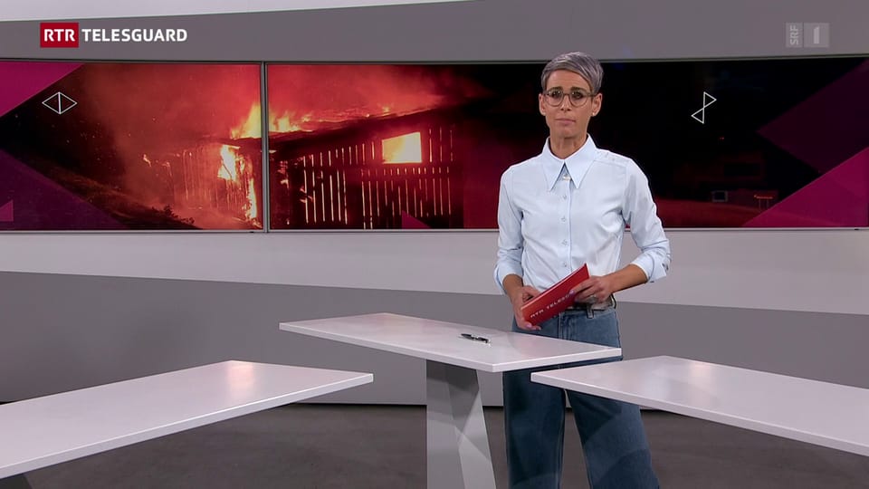 Novitads - Telesguard - Play RTR