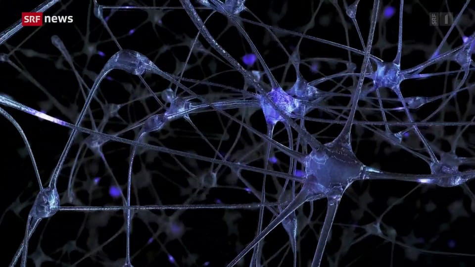 Hirnscanner und künstliche Intelligenz lesen Gedanken - 10 vor 10 ...