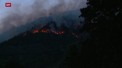 Feuer im Oberwallis - Waldbrand in Bitsch VS weiterhin nicht unter ...