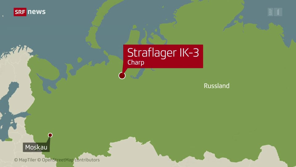 Tagesschau - Russischer Kremlkritiker Nawalny wieder aufgetaucht - Play SRF