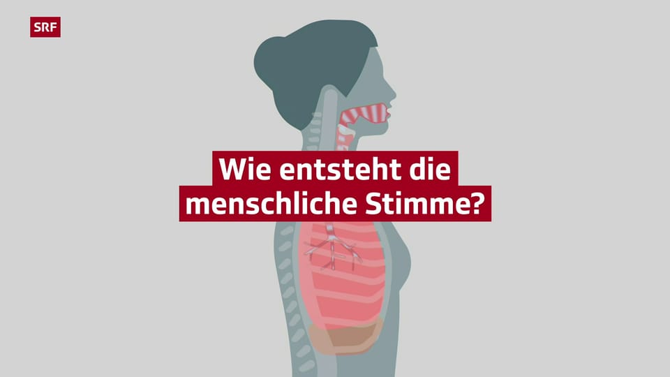 Wissen für alle – Wie entsteht die menschliche Stimme? - SRF Videos zur ...