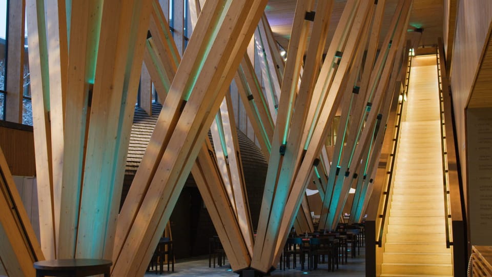 Bauen mit Holz: Rettung fürs Klima? - NZZ Format - Play SRF