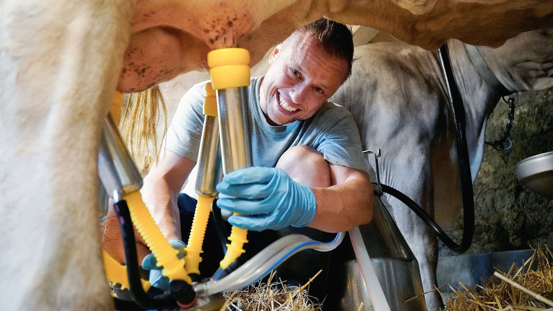 Fitze übernimmt: Wunderland – Vom tiefsten auf den höchsten Punkt der ...