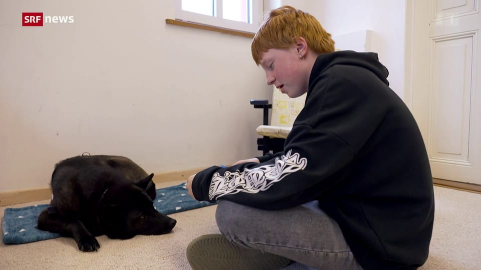 Leuzigen: Schulalltag mit tierischen Begleitern - Schweiz aktuell ...