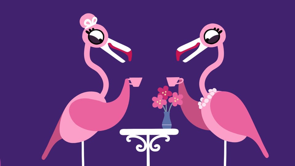 De Flamingo - Animanimals - Play SRF