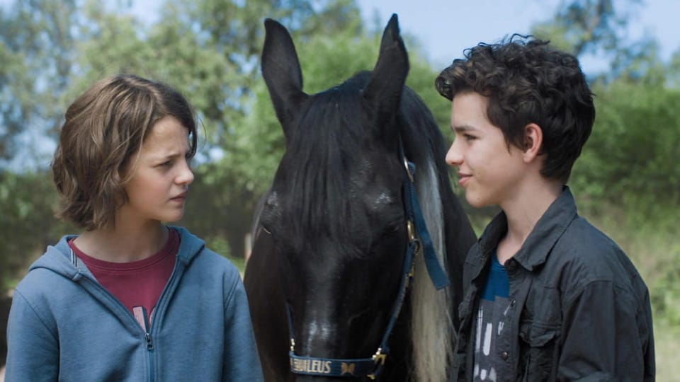 Windstorm 5 - Uniti per sempre - Film - Play RSI