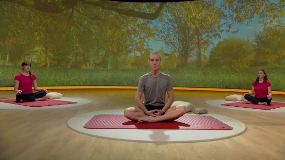 Mezz'ora per voi: Yoga - Yoga, puntata 24: gli 8 Passi dello Yoga - costruzione della sequenza ...