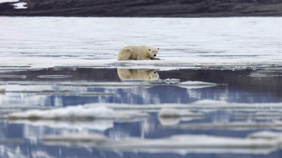 Viaggio nel grande Nord - Il giardino di Albert - Play RSI