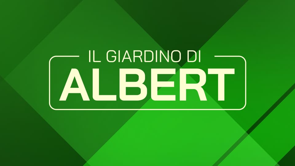 Il giardino di Albert - Play RSI
