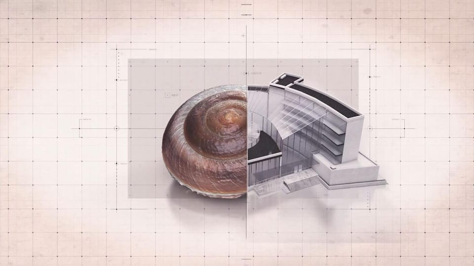 Ispirati dalla natura - Il giardino di Albert - Play RSI