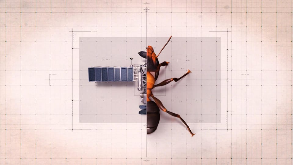 Sentire e percepire - Il giardino di Albert - Play RSI