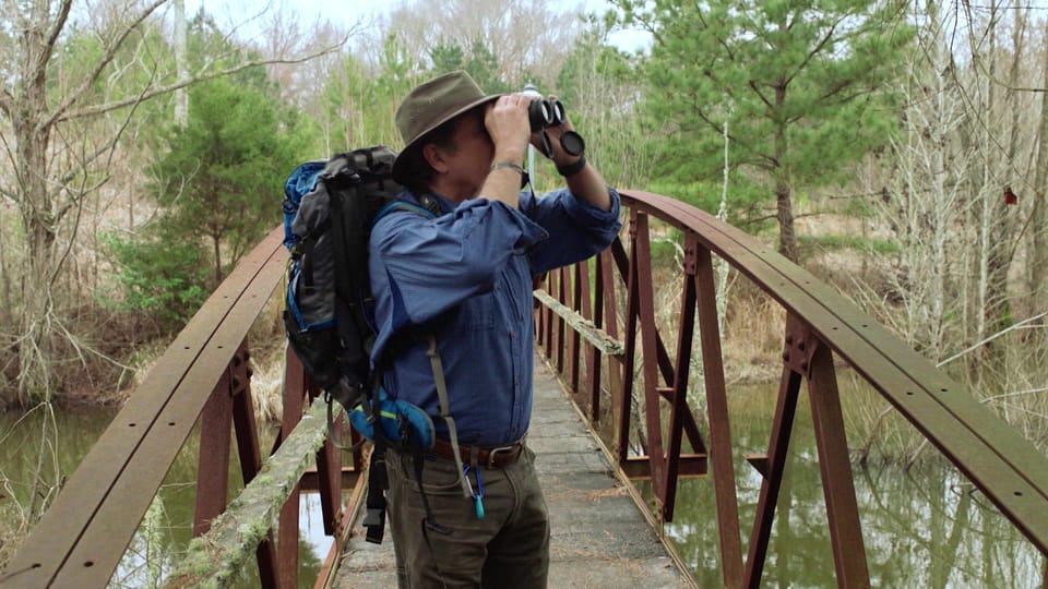 Aria di primavera - Film - Play RSI