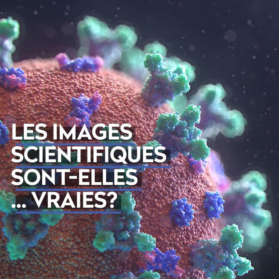 Les images scientifiques reflètent-elles la réalité? - RTSculture ...