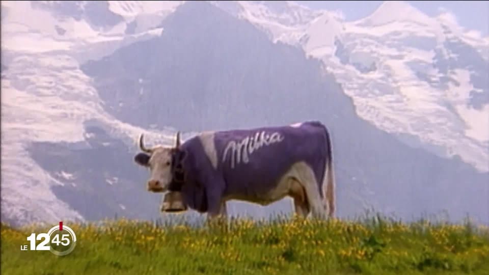 La vache Milka fête ses 50 ans cette année, grâce à un coup de génie ...